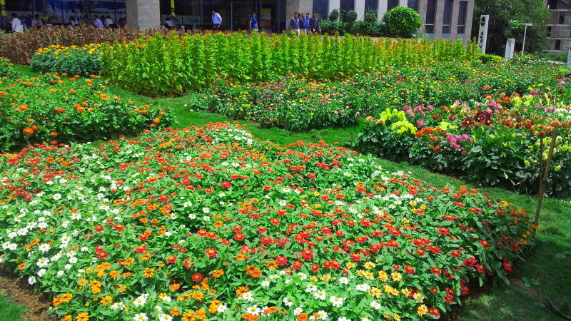 GARDEN DESIGNING – GREEN VIEW
